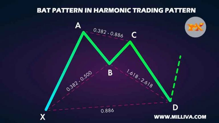 Milliva-Best Forex Brokers In the World