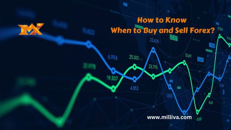 Milliva-Best Forex Brokers In the World