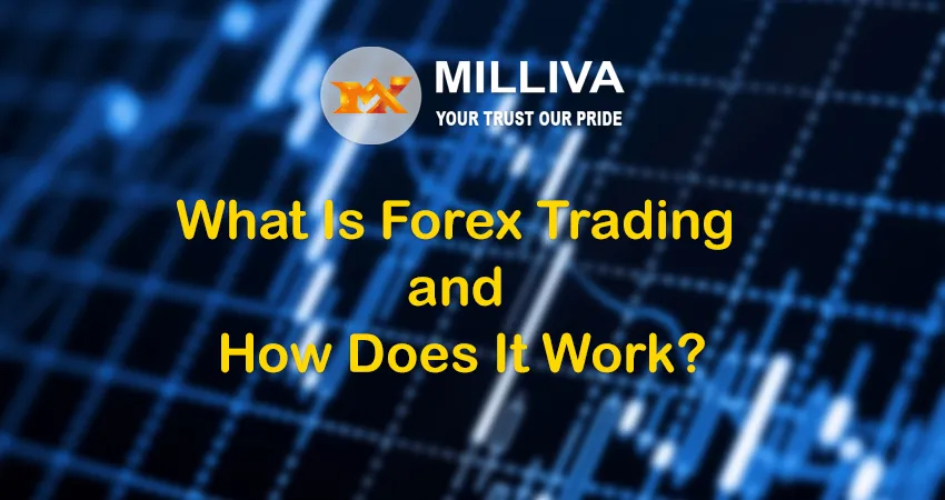 Milliva-Best Forex Brokers In the World
