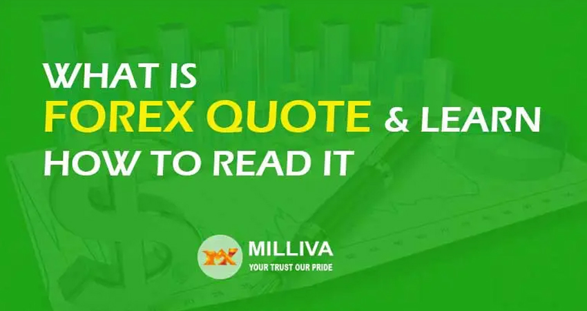 Milliva-Best Forex Brokers In the World