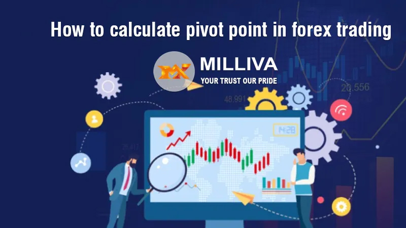 Milliva-Best Forex Brokers In the World