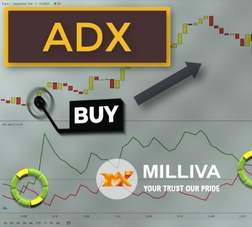 Milliva-Best Forex Brokers In the World